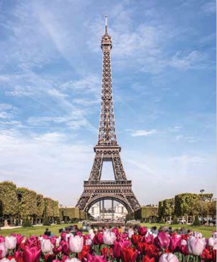 ΡΟΛΕΡ ΜΕ ΨΗΦΙΑΚΗ ΕΚΤΥΠΩΣΗ ΠΑΡΙΣΙ 'EIFFEL TOWER' E539
