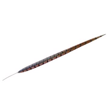 Espiel - Eίδη Σπιτιού